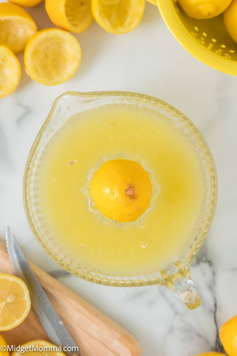 Homemade Berry Lemonade Recipe