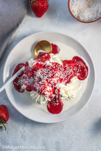 Spaghetti Ice Cream With Homemade Strawberry Sauce (Spaghettieis)