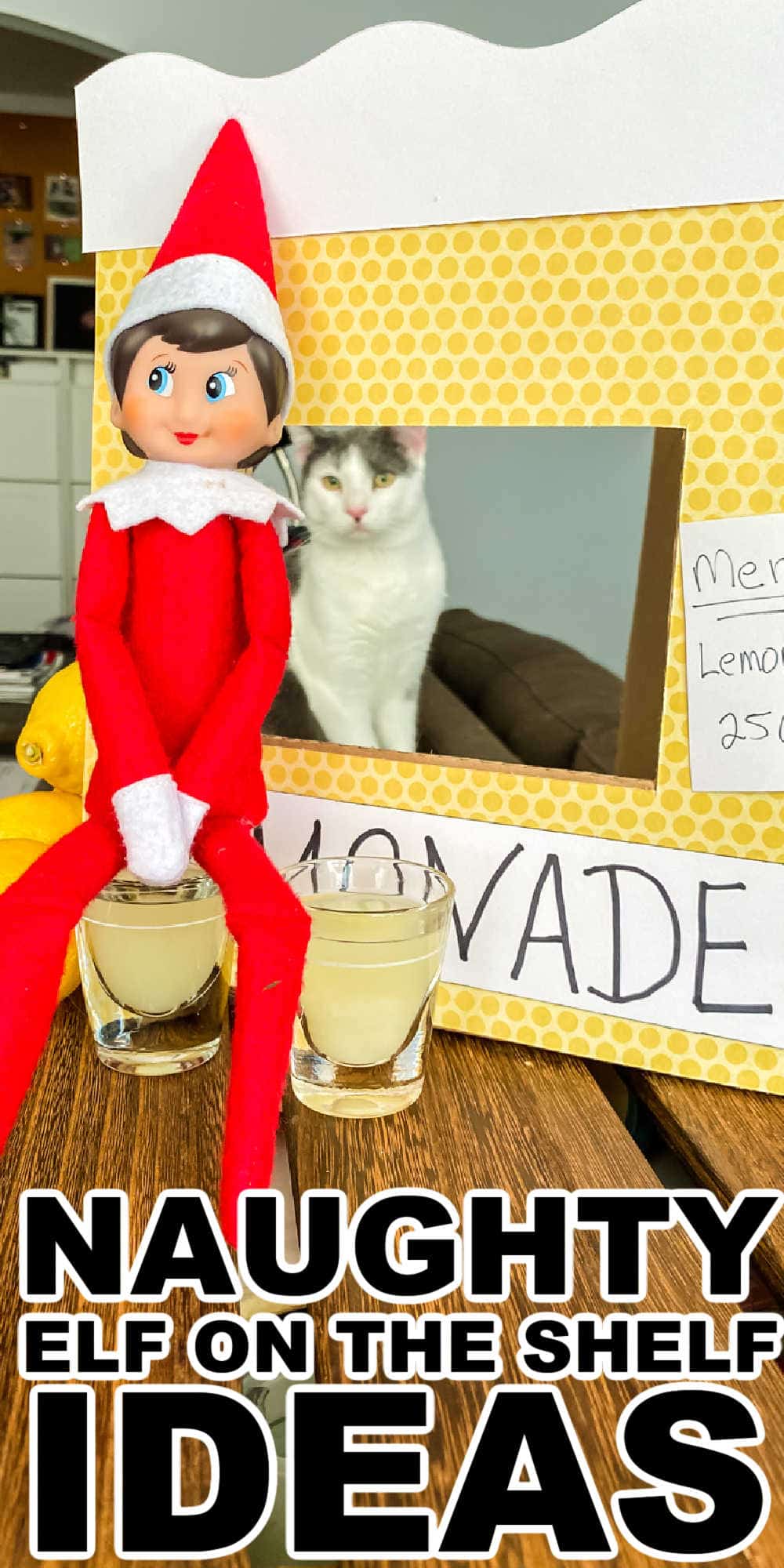 23 Naughty Elf on The Shelf Ideas (Naughty Elf Antics) • MidgetMomma