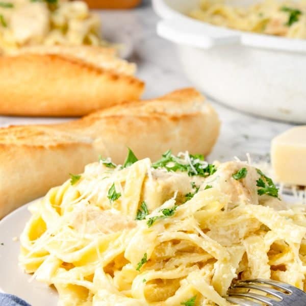 Creamy Chicken Alfredo Pasta Recipe • MidgetMomma