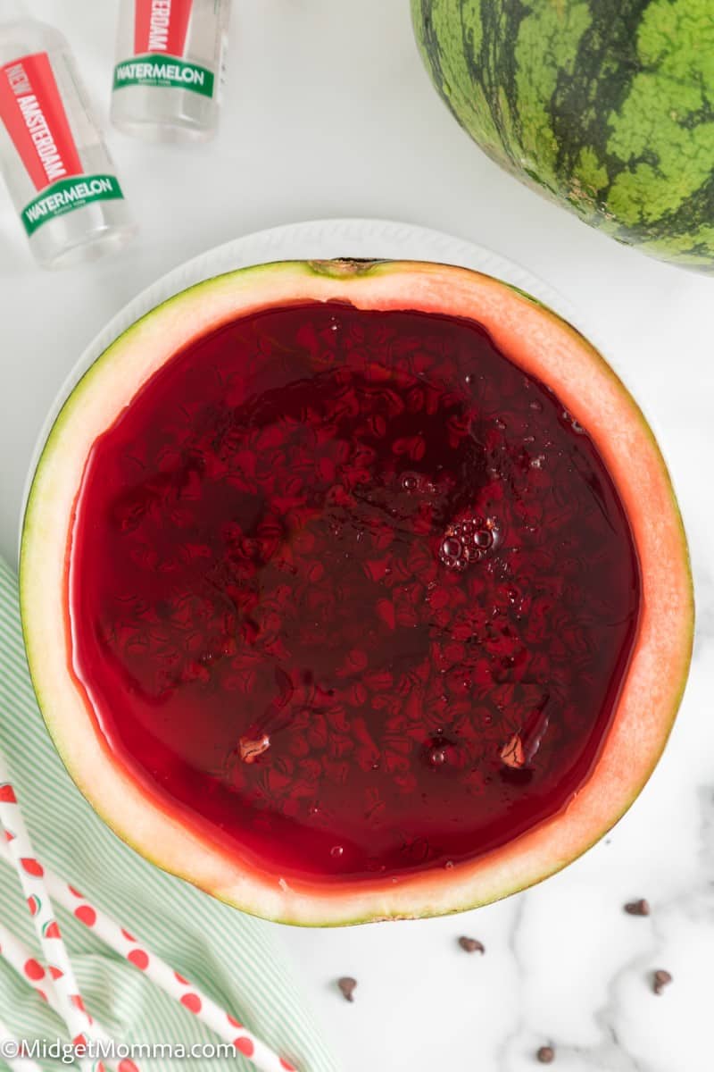 Easy Watermelon Slices Jello Shots Recipe • MidgetMomma