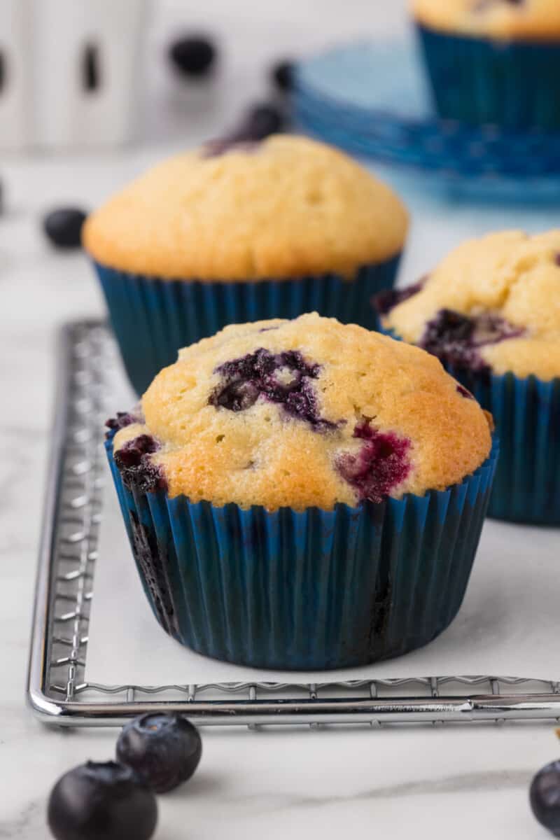 Moist & Delicious The Best Mini Blueberry Muffins Recipe • MidgetMomma