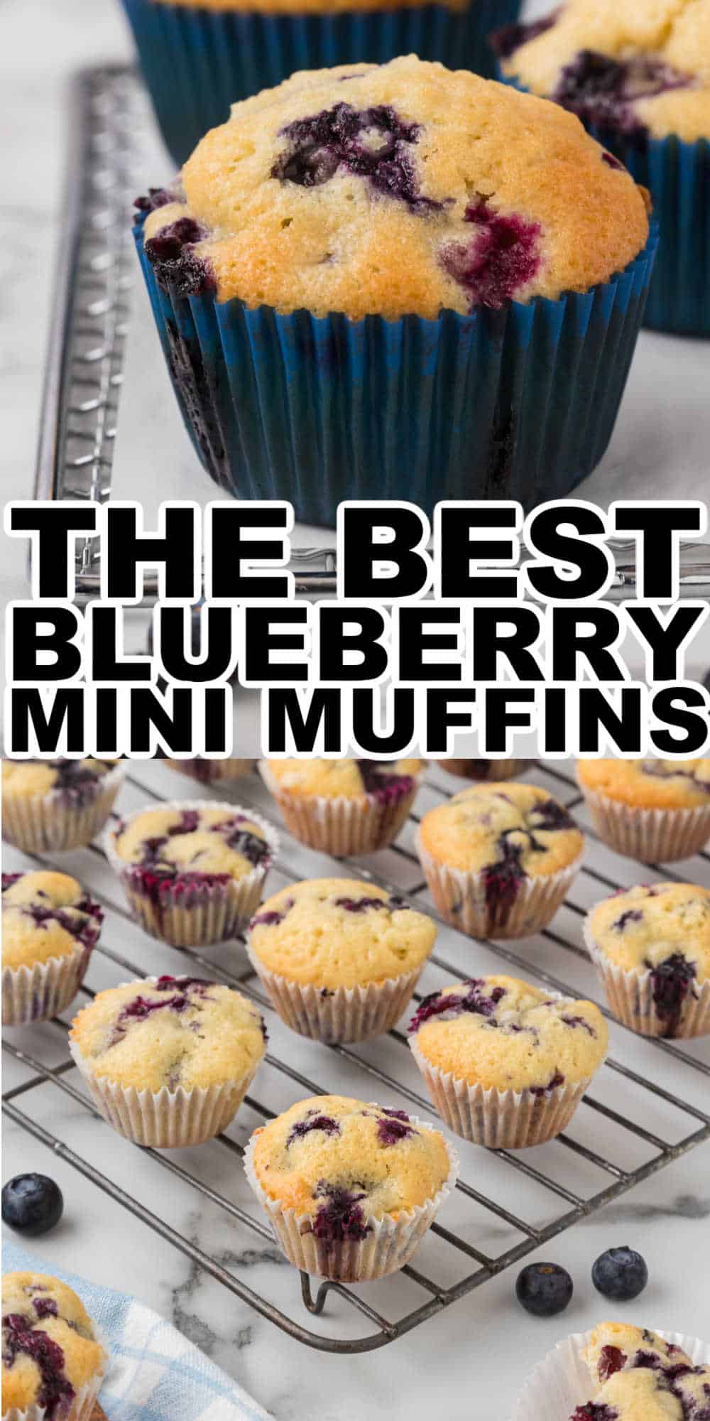 Moist & Delicious The Best Mini Blueberry Muffins Recipe • MidgetMomma