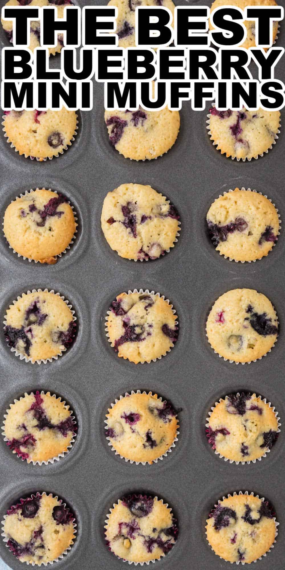 Moist & Delicious The Best Mini Blueberry Muffins Recipe • MidgetMomma