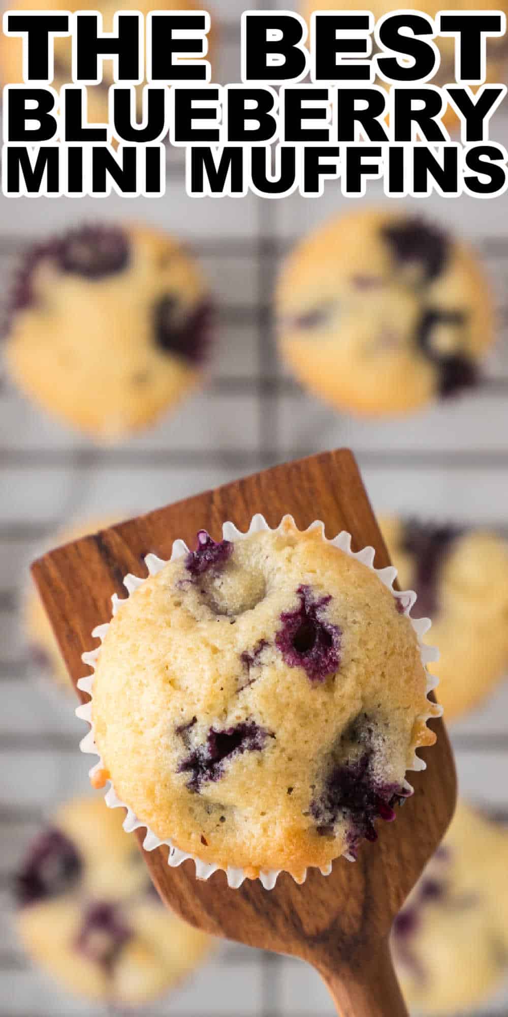 Moist & Delicious The Best Mini Blueberry Muffins Recipe • MidgetMomma