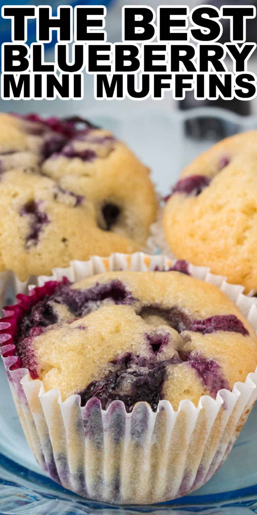 Moist & Delicious The Best Mini Blueberry Muffins Recipe • MidgetMomma
