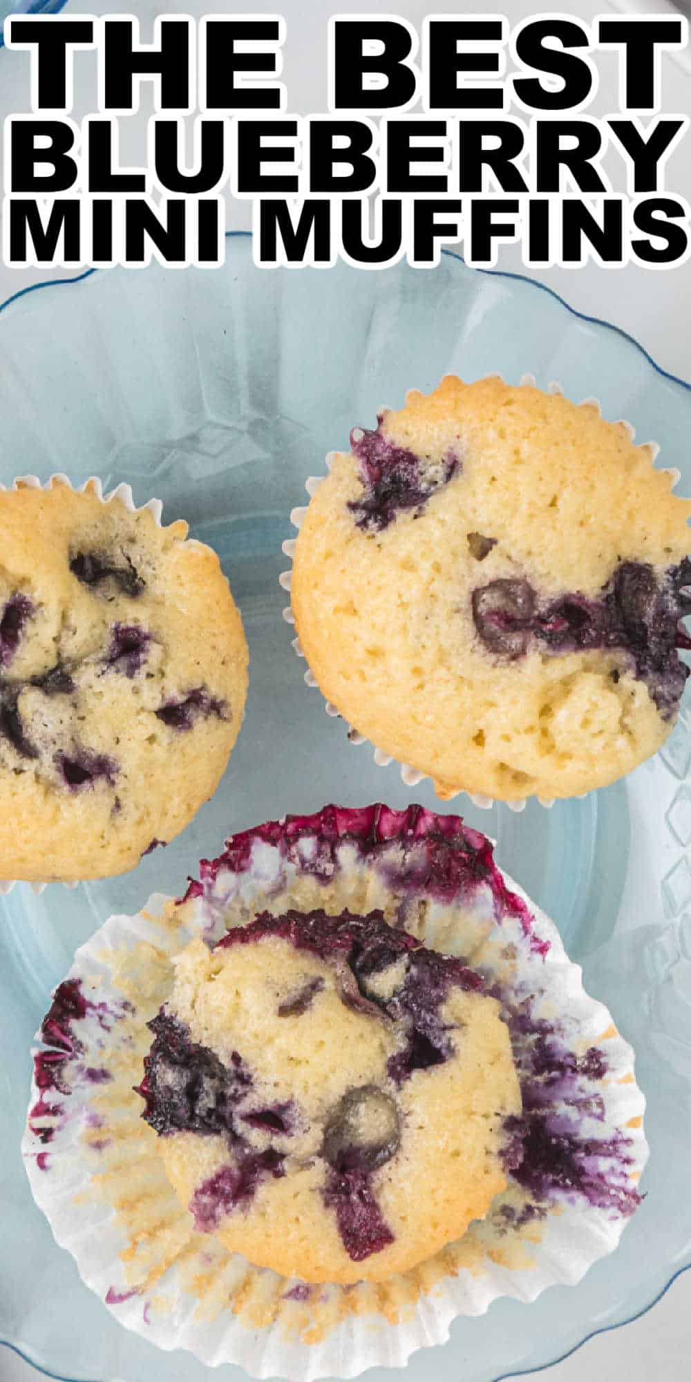 Moist & Delicious The Best Mini Blueberry Muffins Recipe • MidgetMomma