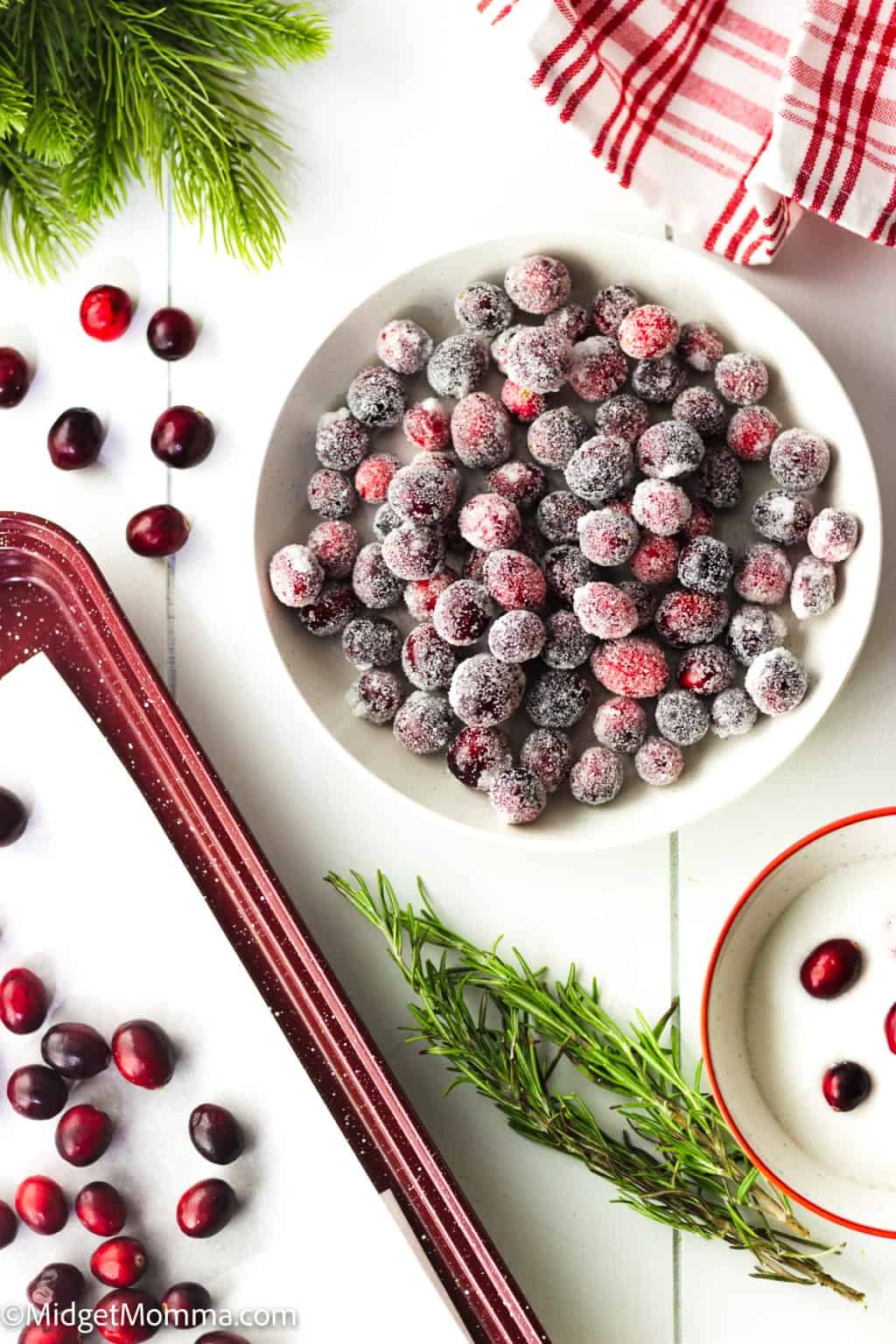 Sugared Cranberries Recipe • MidgetMomma