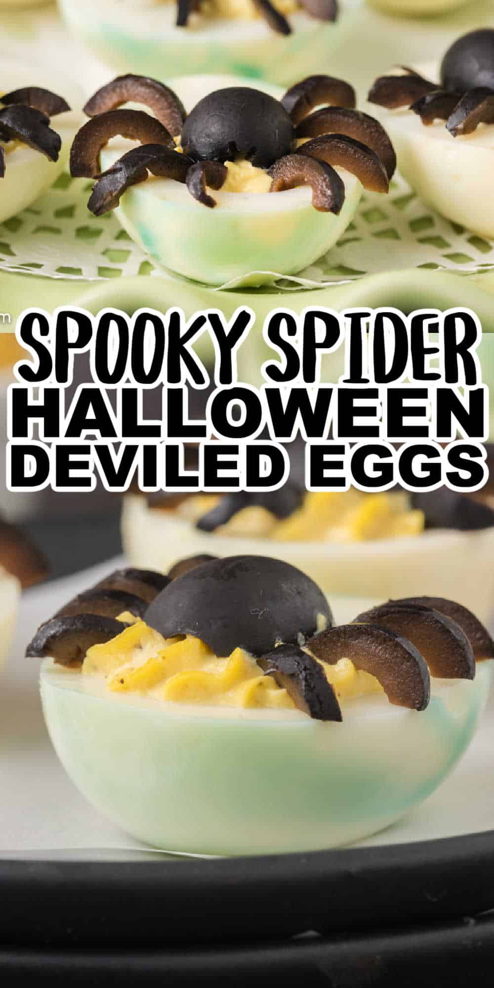 Spooky Spider Halloween Deviled Eggs Recipe • MidgetMomma