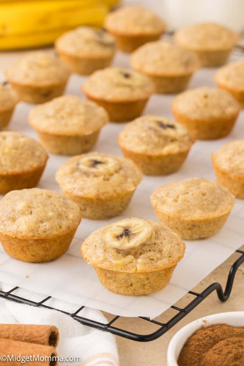 Mini Banana Muffins Recipe • MidgetMomma