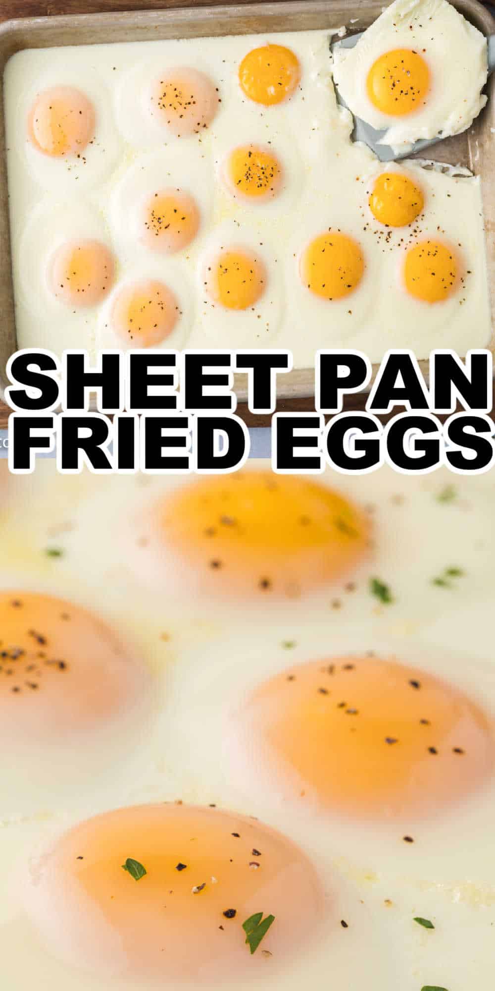 Sheet Pan Fried Eggs Recipe (Sunny Side Up Baked Eggs) • MidgetMomma