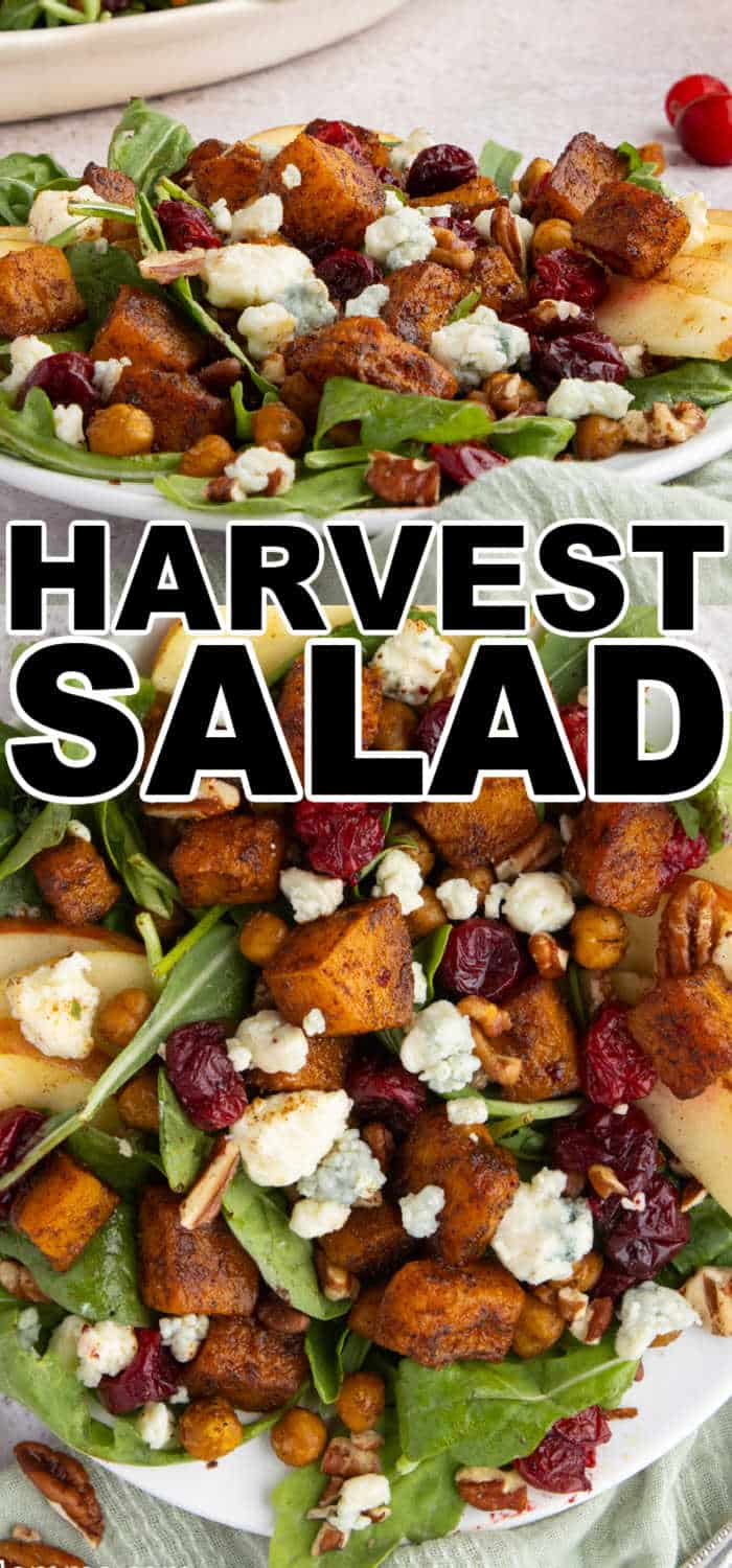 Fall Harvest Salad Recipe • MidgetMomma